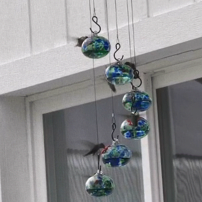 Sherem Wind Chime Hummingbird Feeder – Shoesmama