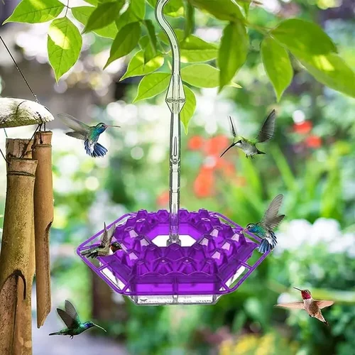 Sherem Sweety Hummingbird Feeder – Shoesmama